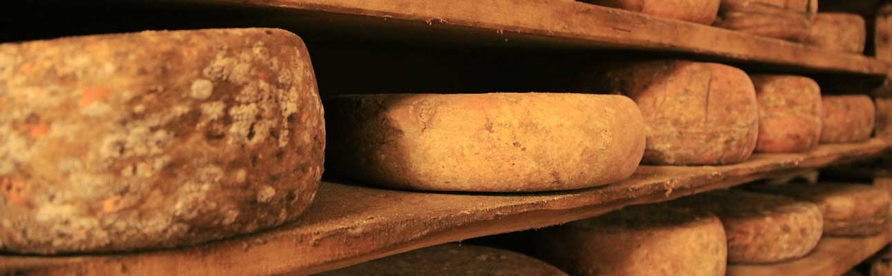 Oude kaas bewaren gaat net even op een andere manier dan jonge kaas.