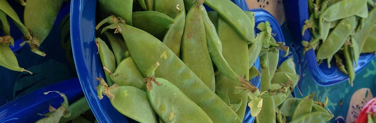 Peultjes bewaren doe je natuurlijk het beste in de koelkast.